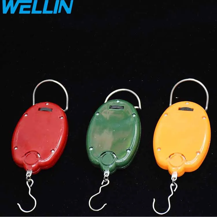 Precision Spring Weighing Scale - Digital Hook Type