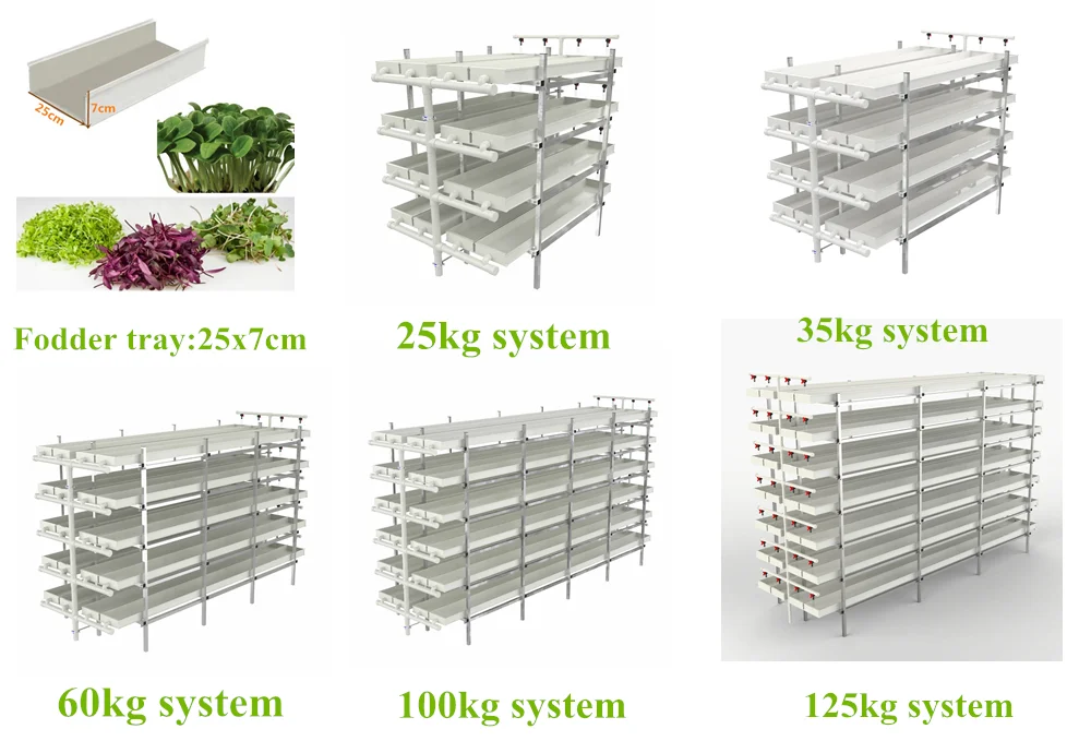 Barley Green Forage Fodder Grow Trays - Hydroponic System