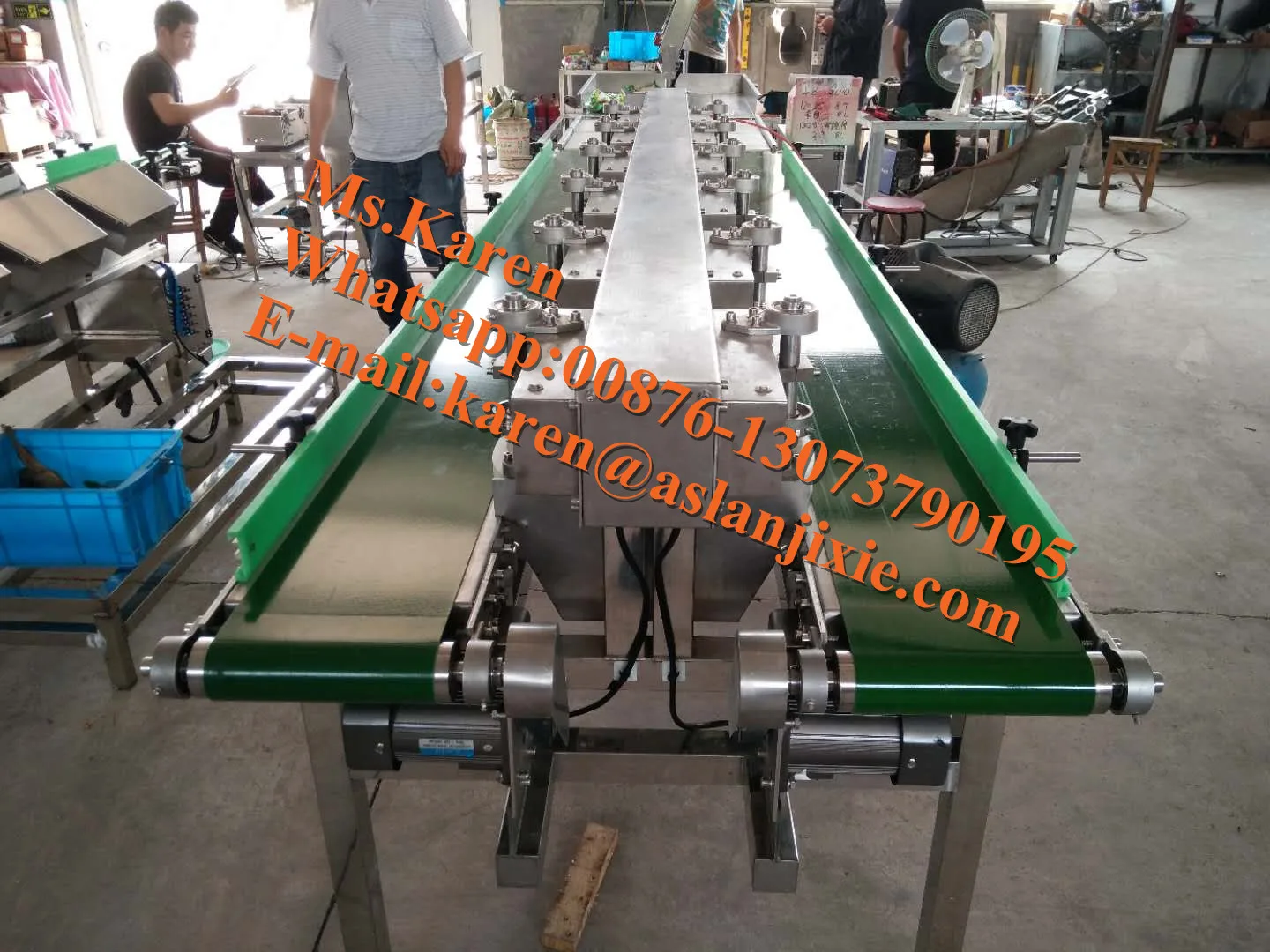 Automatic Fish Grader Machine - Efficient & Reliable