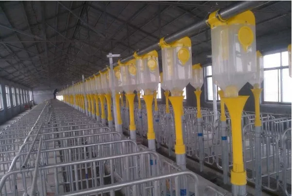 Customized Fully Automatic Pig Sow Auger Feeding Line Hog Farm Piggery ...