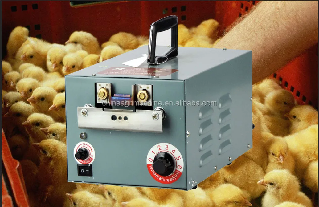 Poultry Equipment Chicken Debeaking Machine Cut Chick Mouth Machine ...
