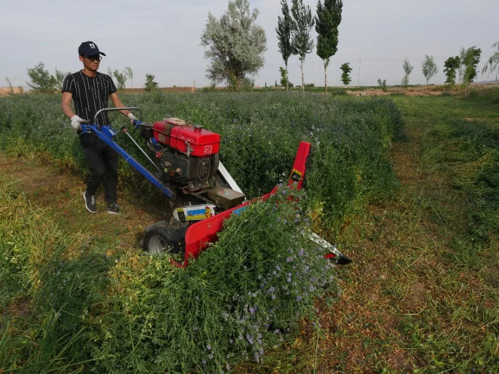 4G120D Alfalfa Cutter Reaper & Grass Cutting Machine, OEM | Wholesale