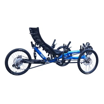 Adults Aluminum Small Wheel Recumbent Suspension Trike Lay Down Bike ...