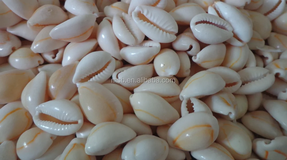 2018 High Quality Natural Yellow Cowrie Shells For Bracelet Gifts - Buy ...