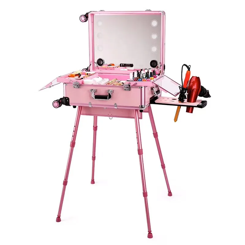Pink Aluminum Makeup Trolley Case with Mirror Light Professional Makeup ...
