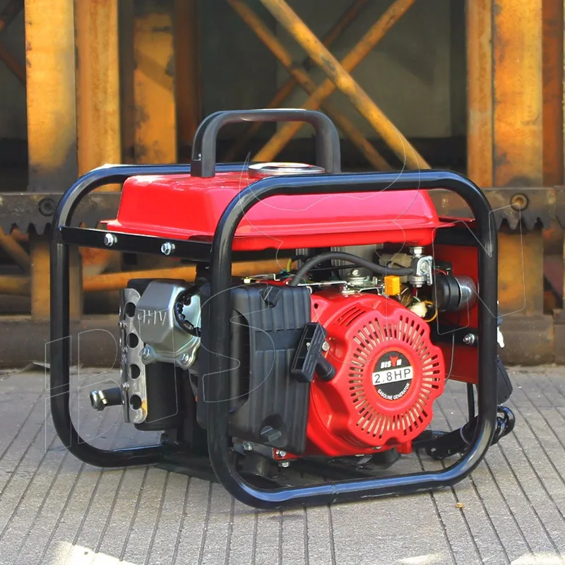 Bison China Taizhou Dc 48v Generator - Buy 850w Gasoline Generator ...