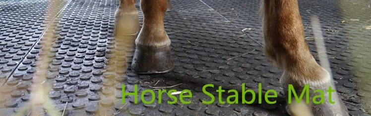 Horse Stable Stall Rubber Mats - Durable & Safe Flooring
