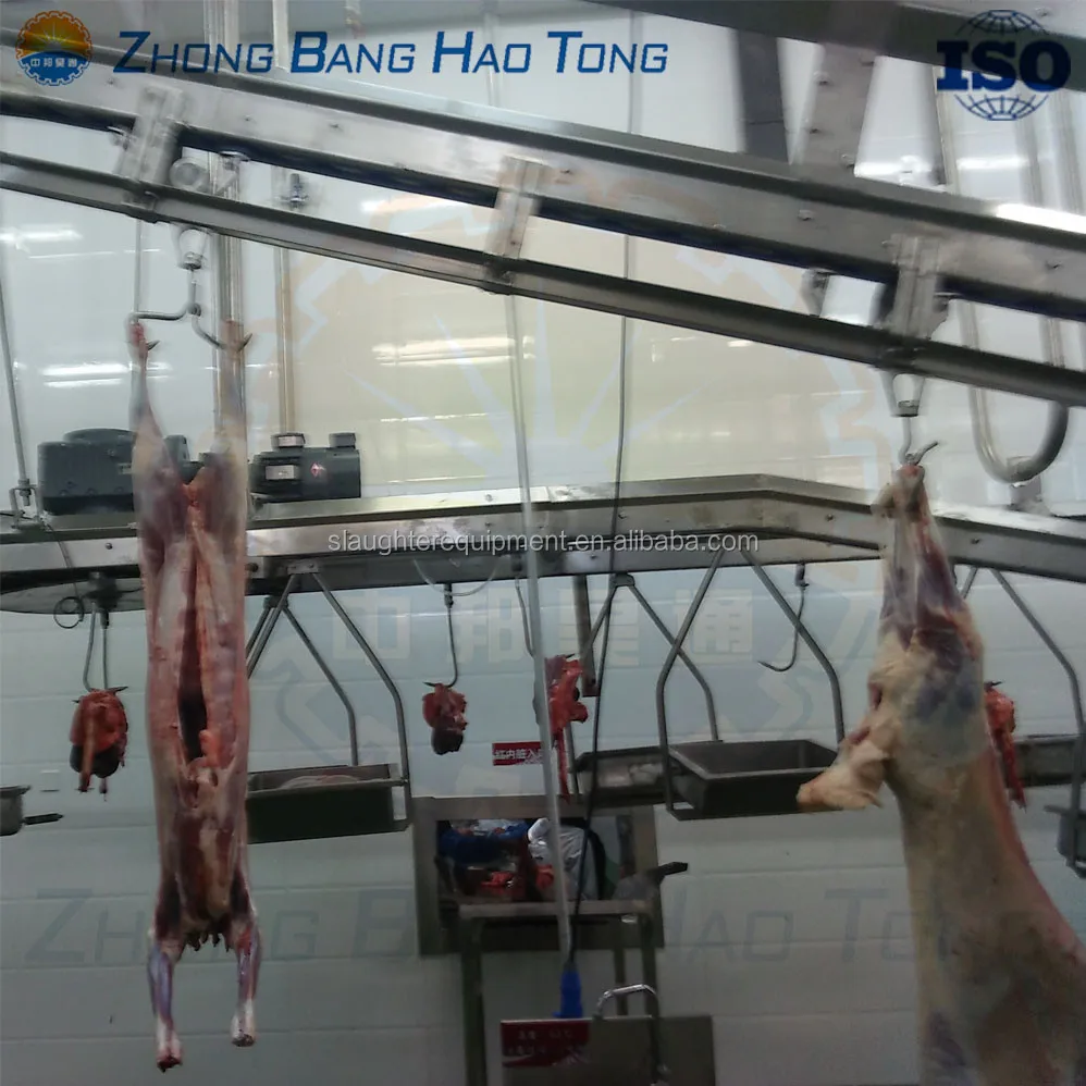 Complete Sheep Goat Carcass Processing Line For Sheep Goat Abattoir ...