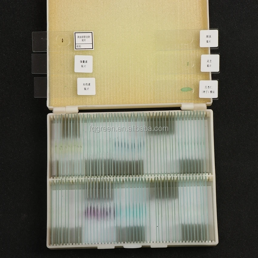Human Oral Pathology Medical Pathology Prepared Slides - Buy Tooth ...