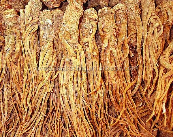 Dried Angelica Sinensis/chinese Angelica/organic Angelica Sinensis ...