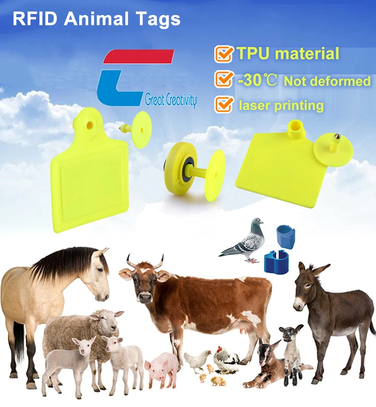 Long Range Smart RFID Cattle Ear Tag for Cow Management