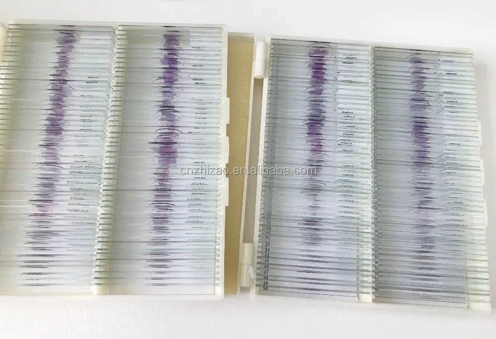 Professional 200 Pieces Set Microscope Human Pathology Prepared Slides ...
