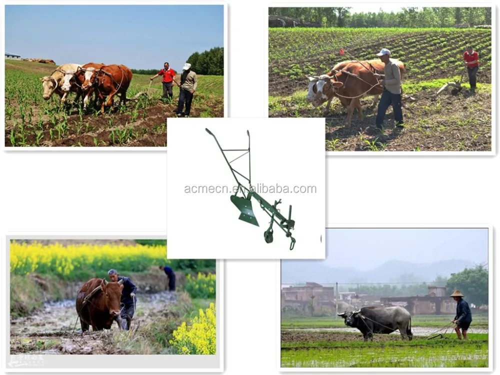 Direct Supply Ox Drawn Plow,Animal Plough Single Plough China Factory ...