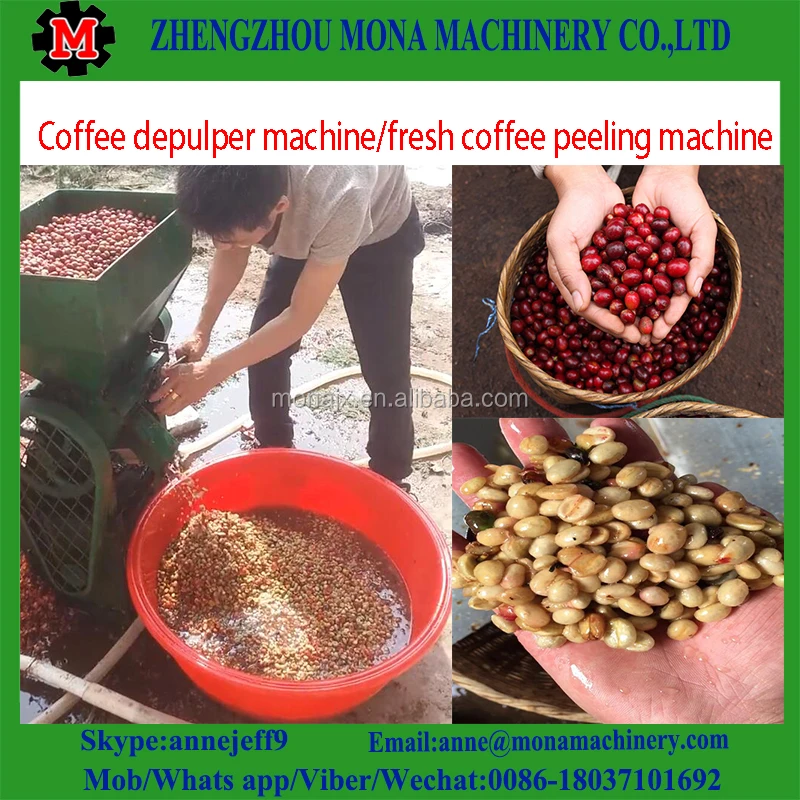 Adjustable Che Coffee Depulper / Stainless Coffee Pulping Machine ...