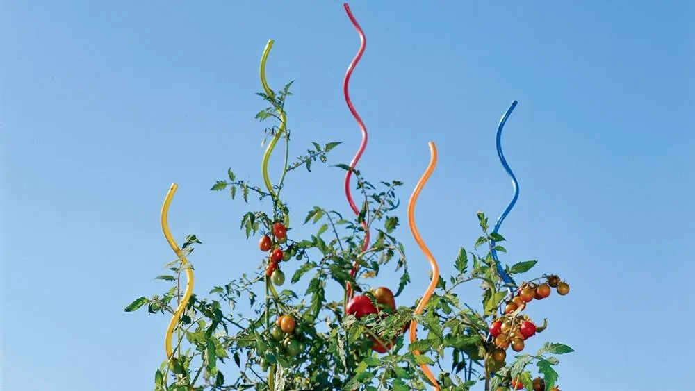 Colored Climbing Plant Tomato Stakes - Buy Tomato Spiral Support,Tomato ...