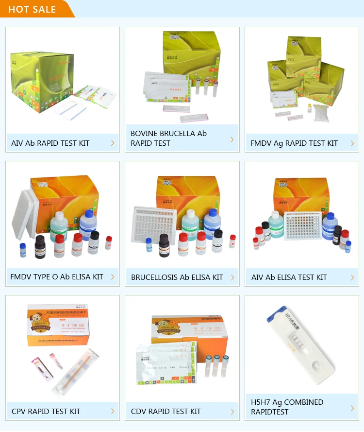 Canine Rabies Ag Rapid Test Kit - ZHENRUI Diagnostics