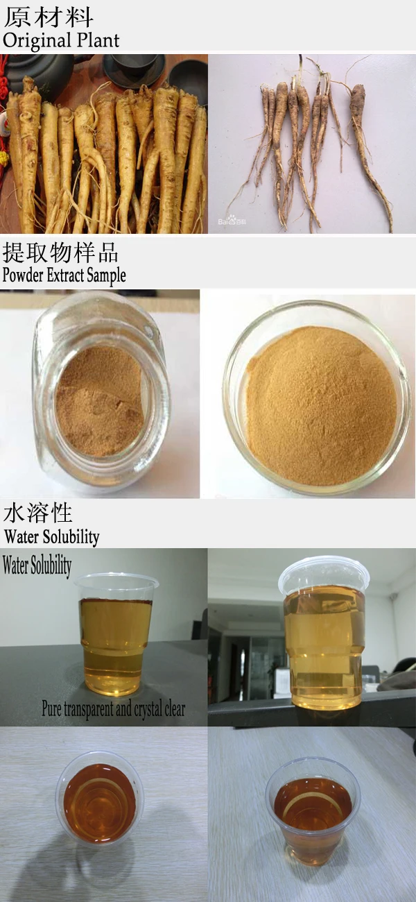 Chinese Traditional Herbal Balloon Flower Extract Balloon Flower Root ...