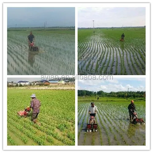 Mini Power Weeder - Efficient Paddy Field Weeding Machine