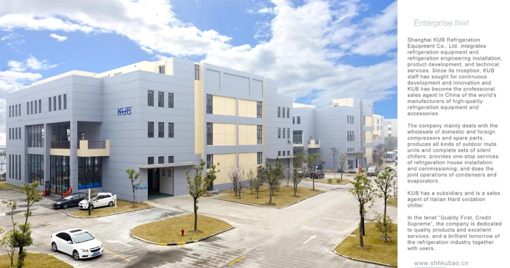 06DR241BCC06C0 Carrier Compressor - Efficient Container Solutions