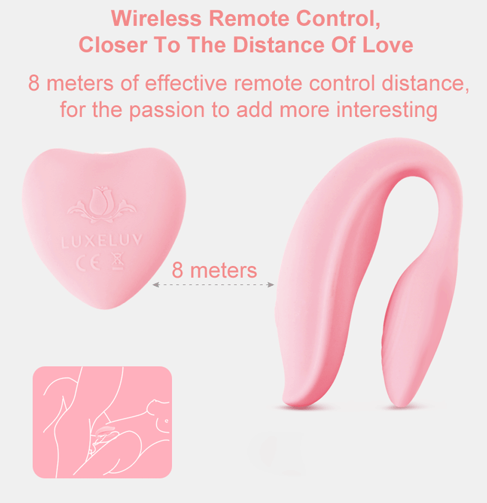 Waterproof Silicone Couple Vibrator Dual Vibrating Wireless Remote