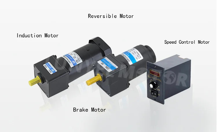 120W Low RPM Electric AC Gear Motor with Reversible Feature