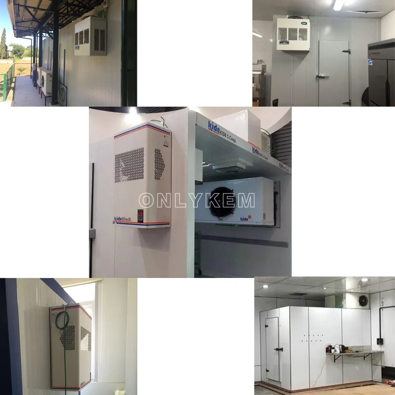 Small Cold Room/ Mini Cold Room With Wall Mounted Monoblock Condensing ...