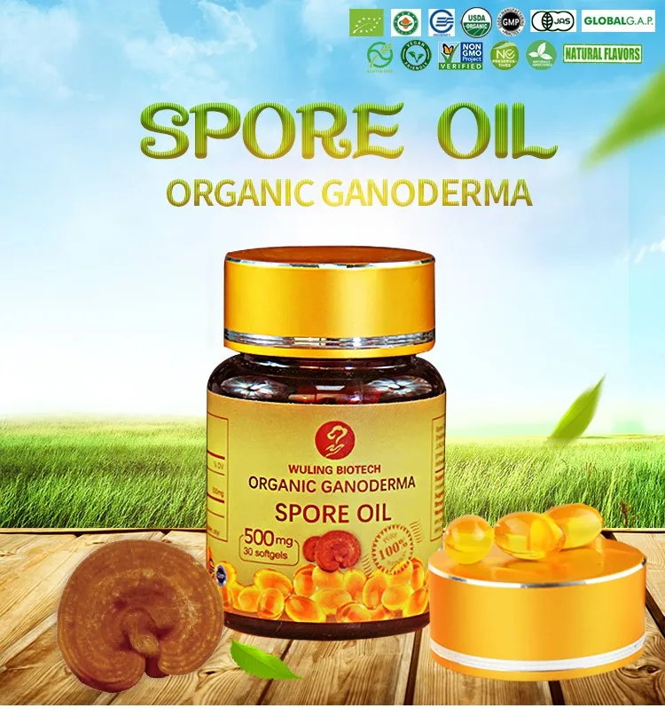 Herbal Supplement Glossy Ganoderma Spore Oil Soft Capsule - Buy Spore ...