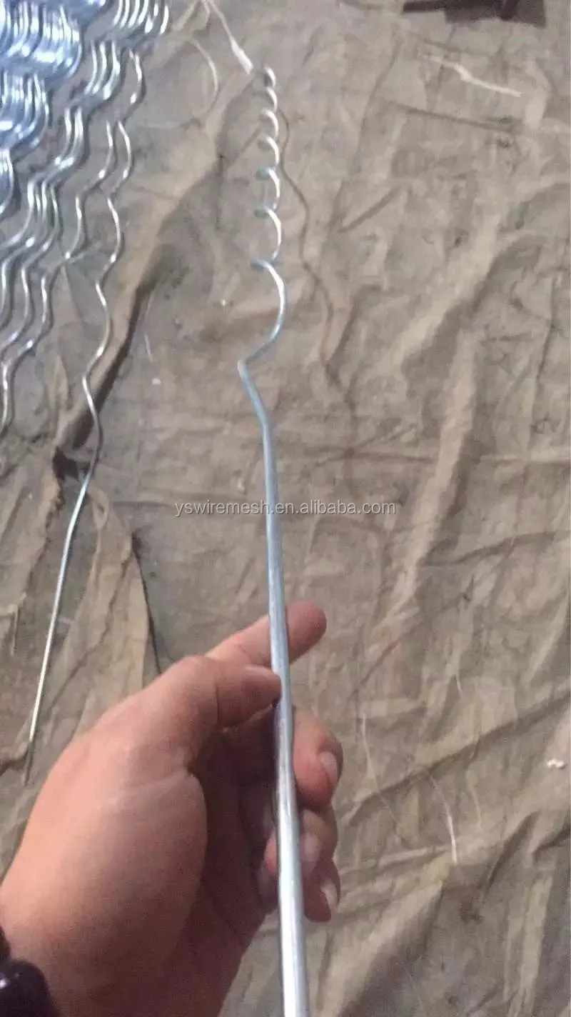 Galvanized Steel Tomato Plant Growing Spiral Wire - Buy Green Plant ...