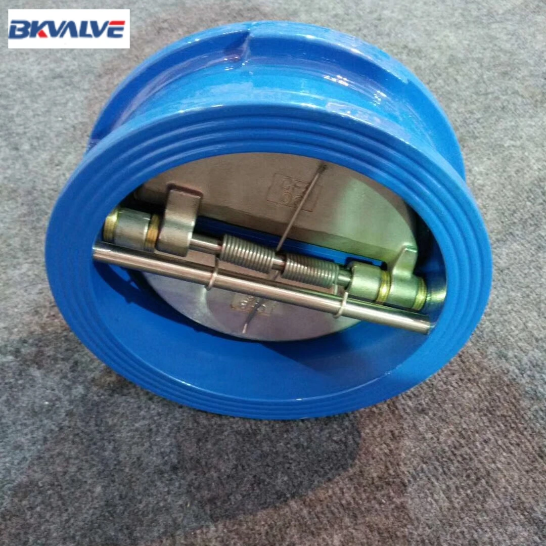 High Quality Cast Iron Check Valves for Water Systems