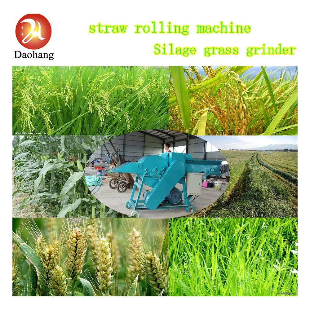 Electric Straw Cutting Machine/hay Cutter /grass Chopping Machine - Buy ...