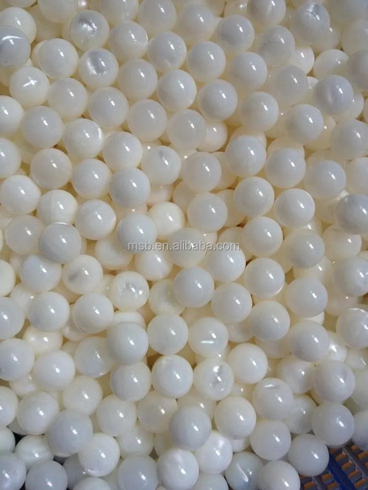 Shop Factory Freshwater Pearl Shell Nucleus from Mississippi River
