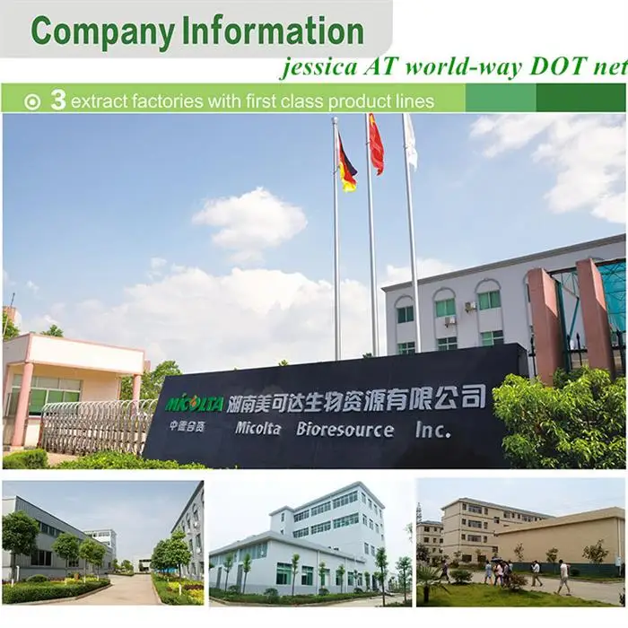 1つのGMPのエキスfactories.jpg