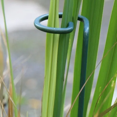 Solid Steel Painted Single Stem Plant Support - Durable & Stylish