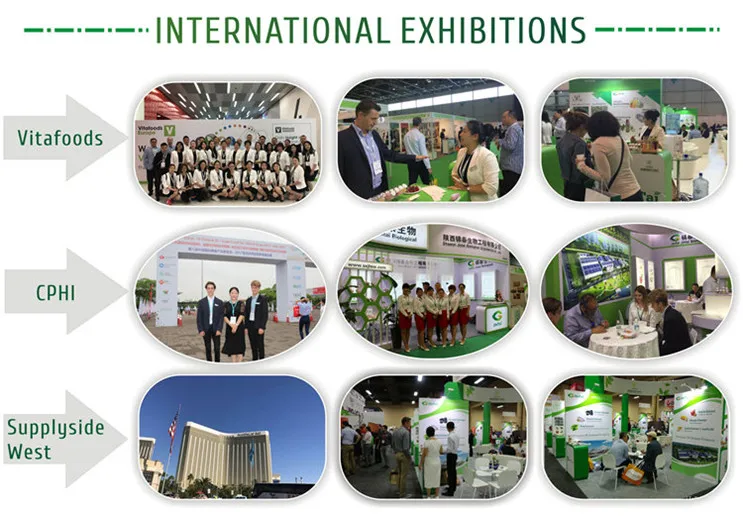 Amaranth Extract Powder - 10:1, 20:1 Solvent Extraction