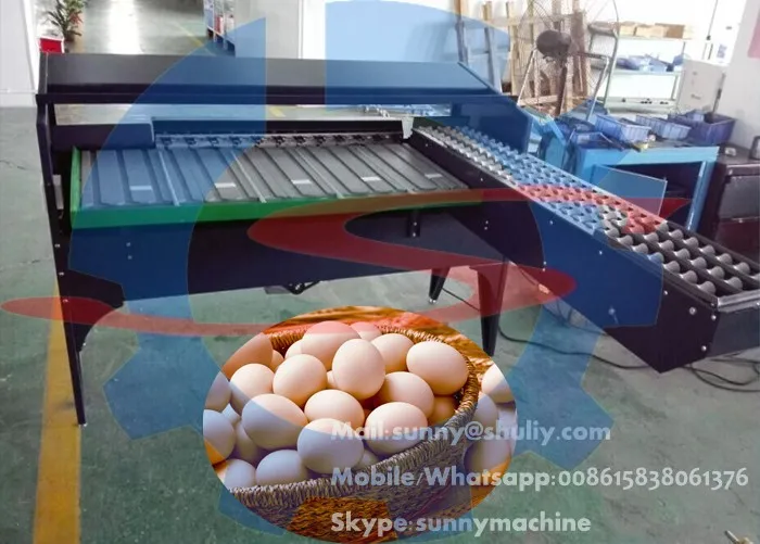 Used In Chicken Egg Poultry Farm 4500pcs/h Egg Grading Equipment,Egg ...