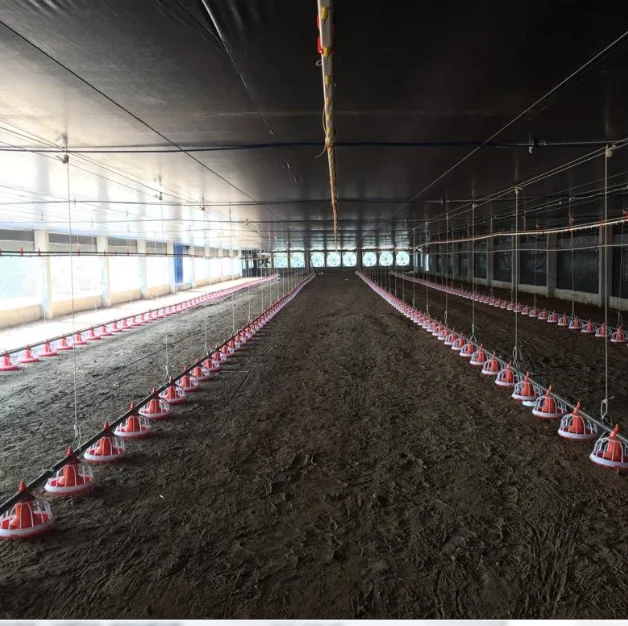 EC poultry house with poultry keeping equipment for broiler chickens ...