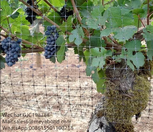 Plastic Mesh Anti Bird Aviary Vineyards Netting for Garden Protection