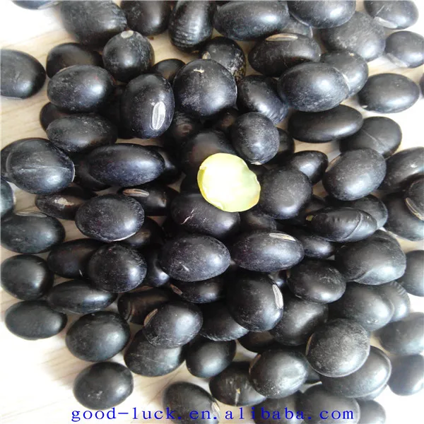 Chinese Cheap Black Beans With Green Inside(2014 Crop) - Buy Chinese ...
