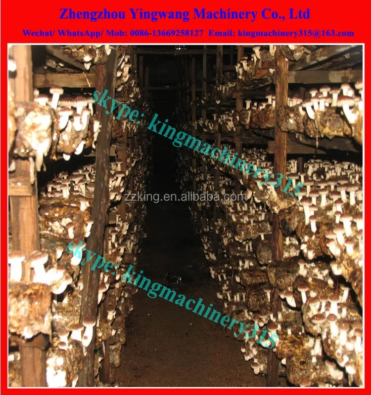Full Automatic Mushroom Growing Bag Filling Sealing Machine Mushroom ...