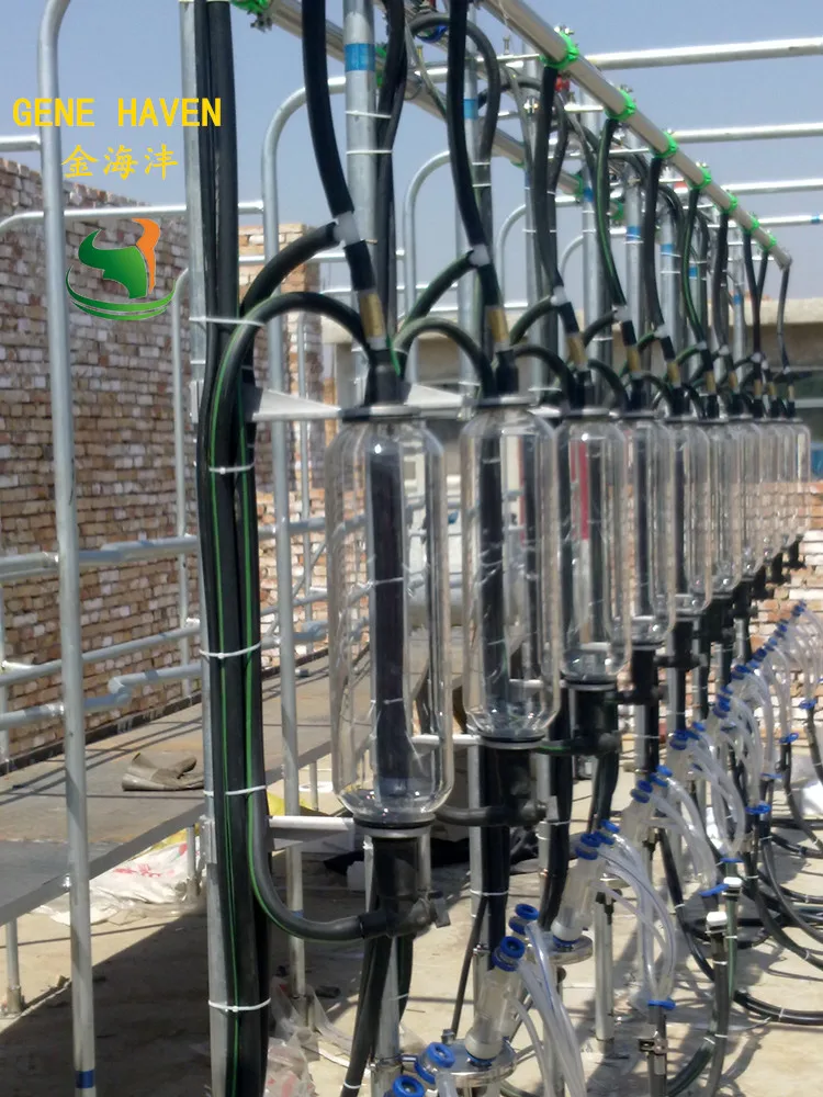 JHF-G1 Glass Milk Recorder Herringbone Goat Milking Machine Parlor