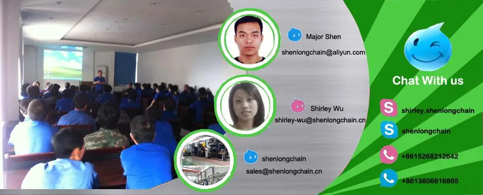 Zhejiang Shenlong Chain Transmission Co., Ltd. - Roller Chain,Conveyor ...