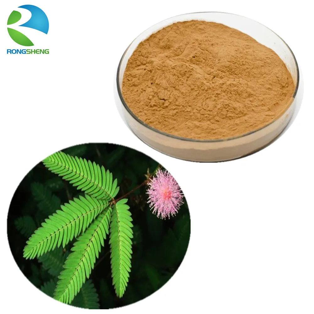 100% Natural Mimosa Pudica Extract Powder - Buy Mimosa Pudica Extract ...