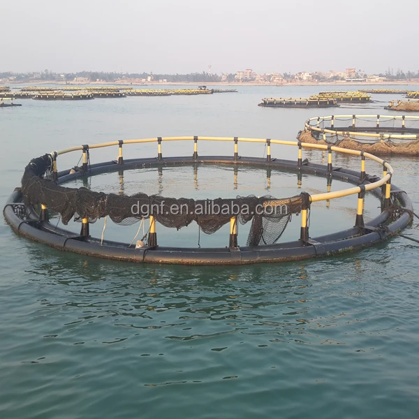 Top Quality Hdpe Aquaculture Floating Fish Cage For Breeding Offshore ...