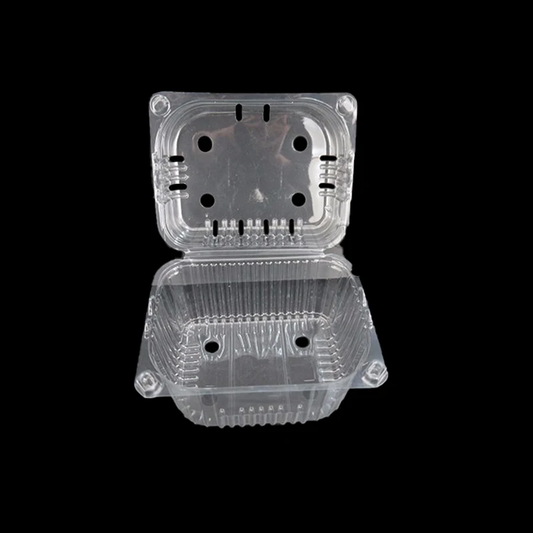 Small Plastic Clear Transparent Storage Food Collection Pp Bento ...