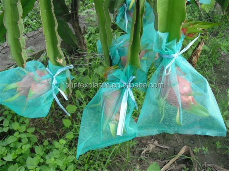 Free Sample Woven Fabric Fine Mesh Anti Insect Bags,Banana Covers Pest ...