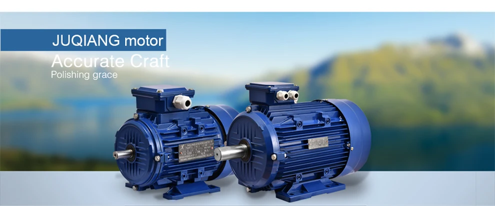 Zhejiang Juqiang Mechanical And Electrical Co., Ltd. - Electric Motor