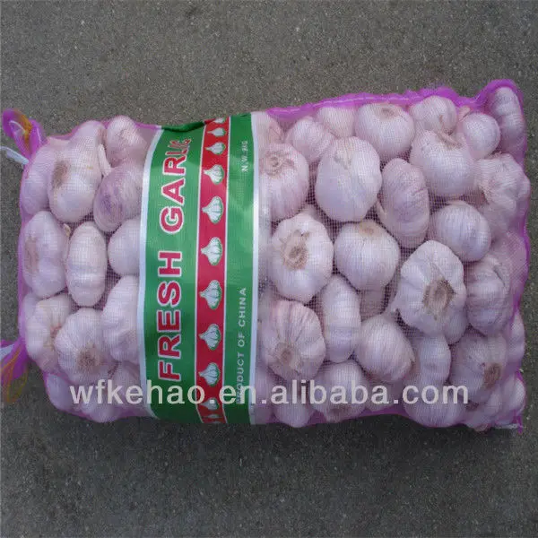 Shop Our Supermarket 20kg Nylon Mesh Garlic Packing Bag