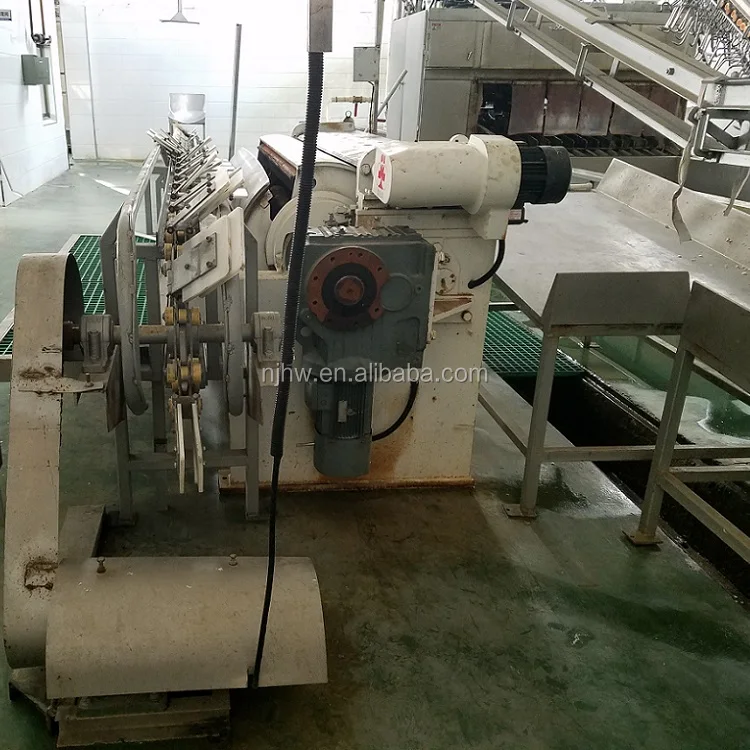 Pig Slaughterhouse Equipment Cerdo Mquina Peladora De Pig Skinning ...