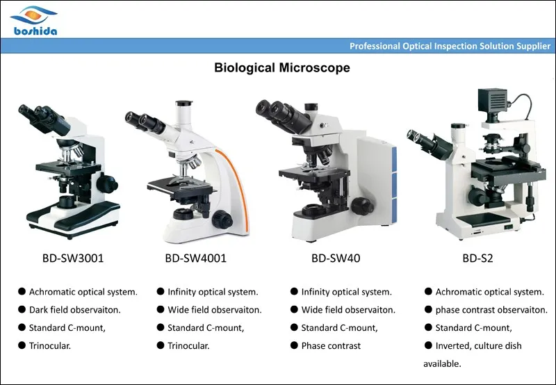 Stereoscopic Microscope Diagram