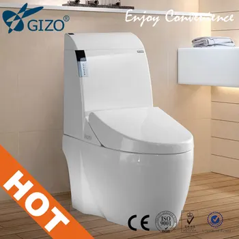 Modern House Design One Piece Composting Toilet - Buy House Design One ...